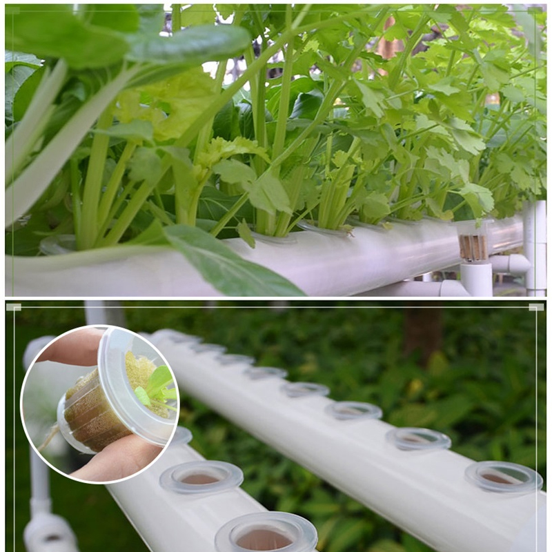 Customized Hydroponic Plant Planting Basket Soilless Cultivation ...